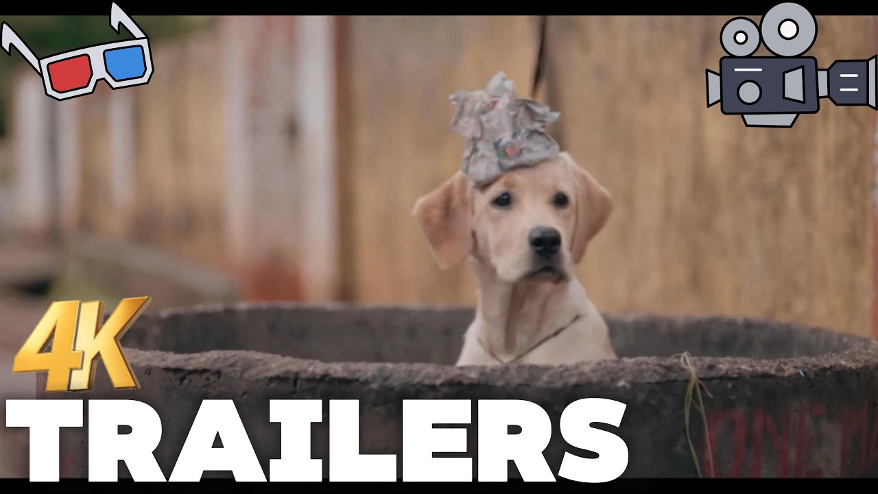 CHARLIE: UN PERRO ESPECIAL Tráiler Oficial Español Latino 2024 - YouTube