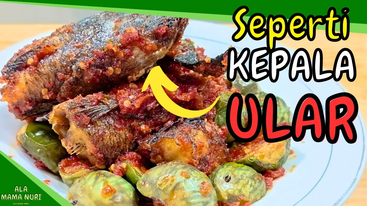 MASAK IKAN GABUS TERONG HIJAU | Ikan Bayong | Snake Fish - YouTube