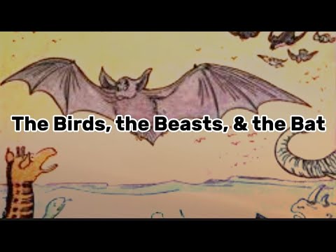 Story Telling | The Birds, the Beasts, and the Bat - YouTube