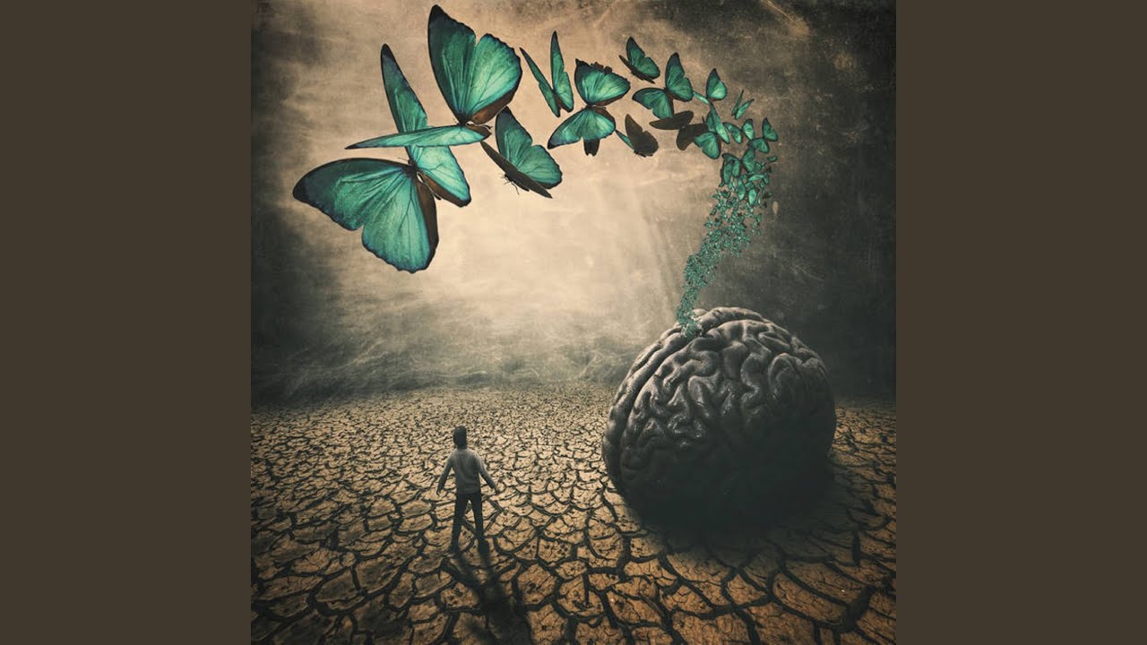 Jingoes Dream - YouTube