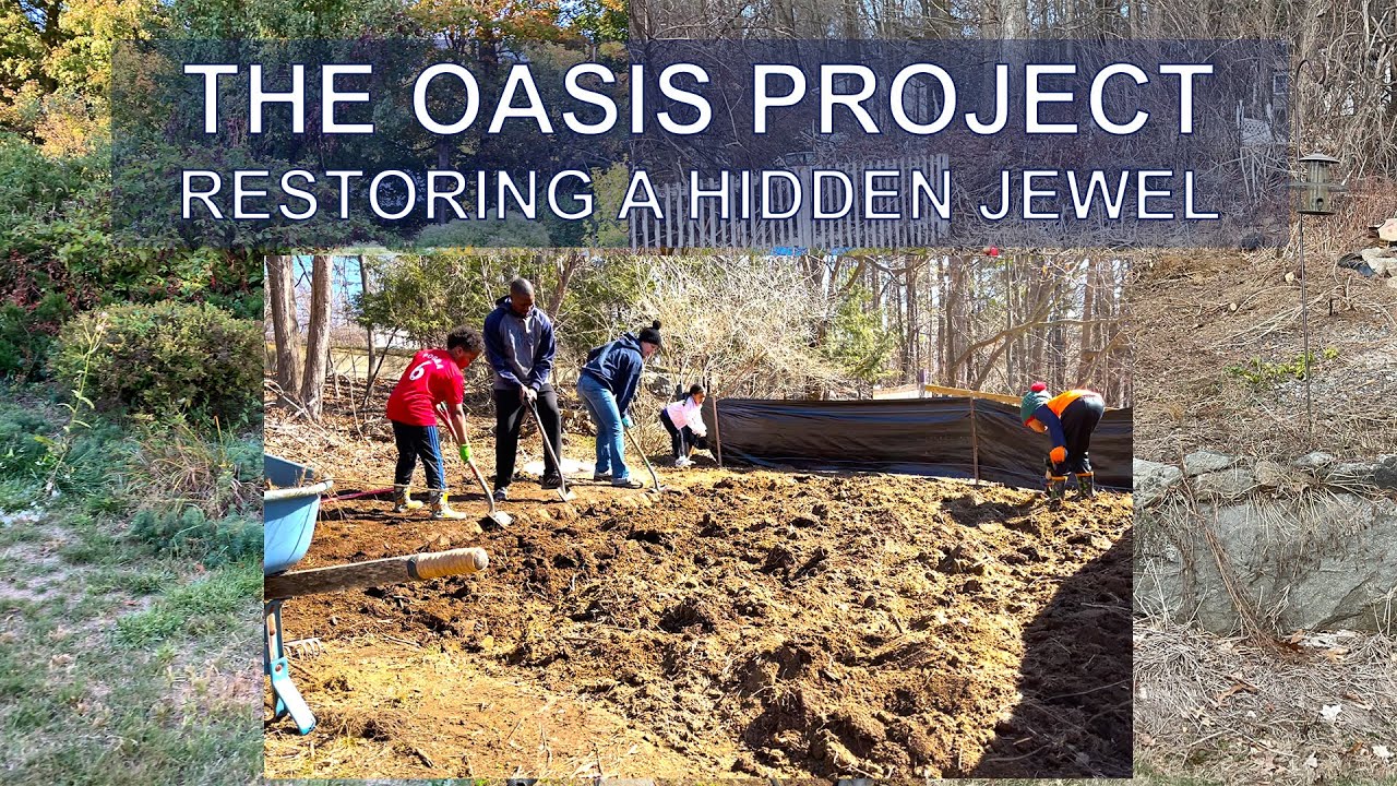 The Oasis Project- Phase Two: Finish Phase One - YouTube