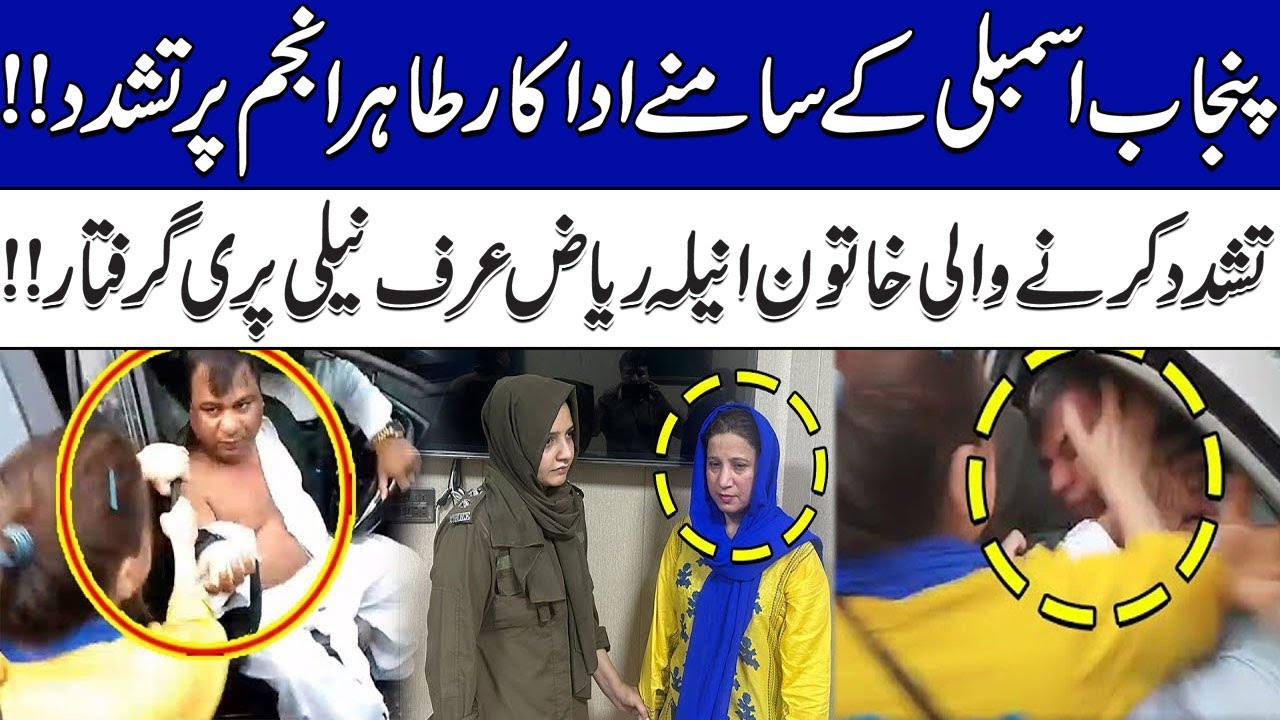 Aggressive Female PTI worker Beats PMLN & Comedian Tahir Anjum | Police ...