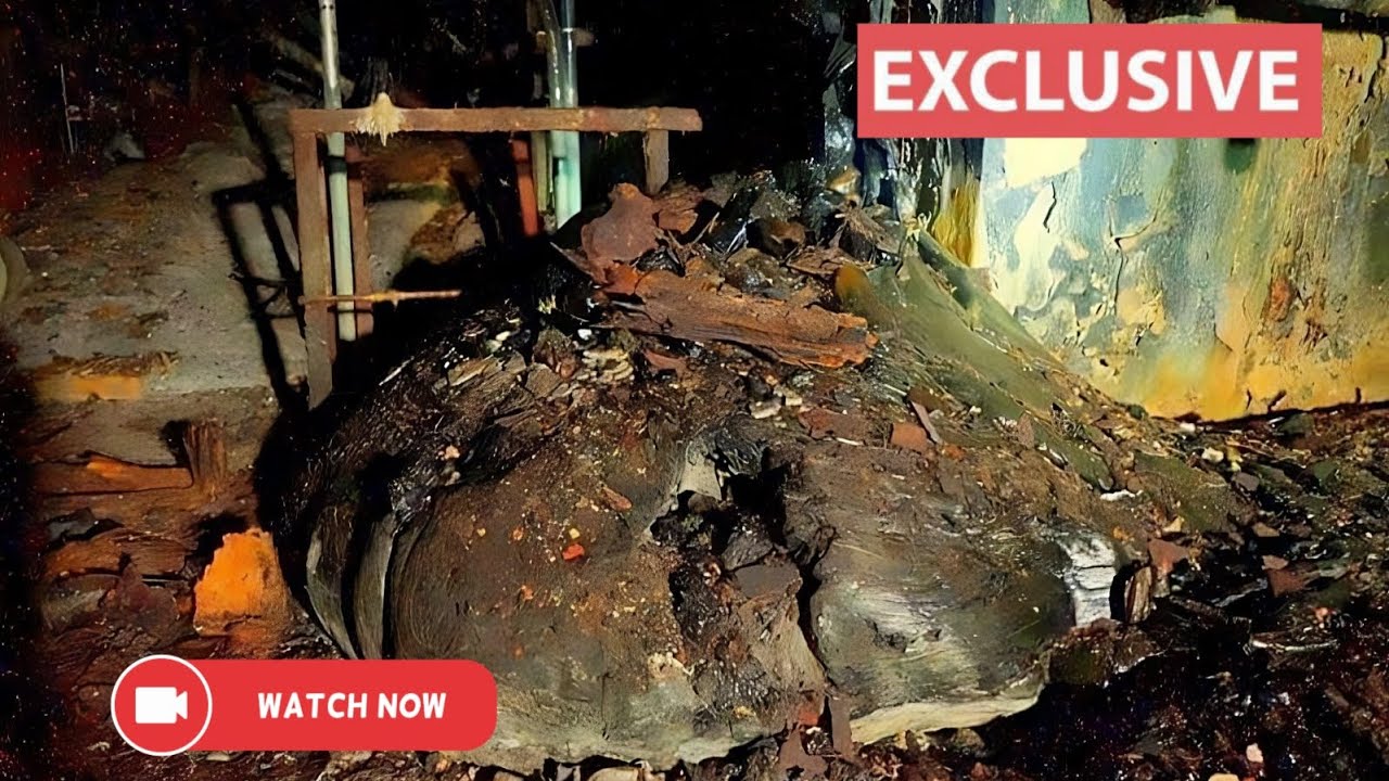 Unearthing the Elephant's Foot: A Nuclear Mystery - YouTube