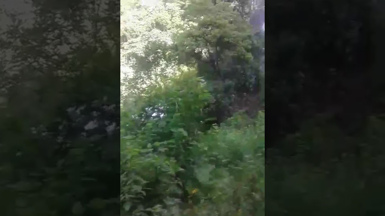 cataratas de chichel Guatemala(1) - YouTube