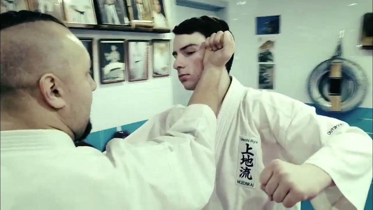 Seisan kata bunkai Uechi Ryu Karate / using kyusho pressure points Ryukokaku Dragon Tiger Crane ...