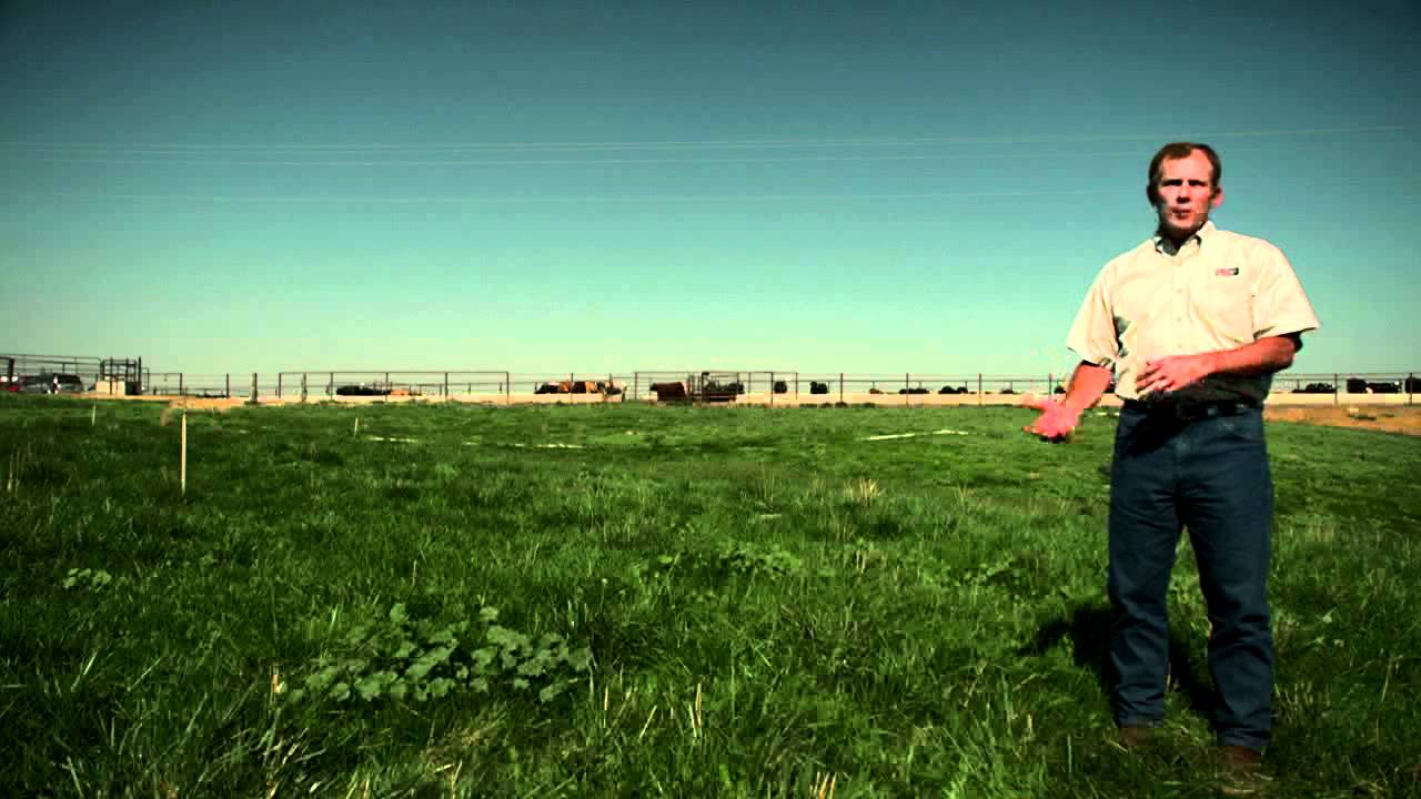 Beef Documentary - YouTube