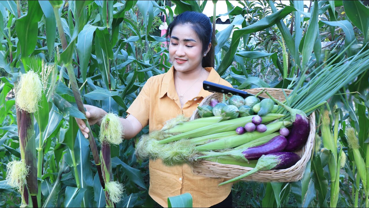 Nutritious vegetables around home is the best for cooking / Cooking ...