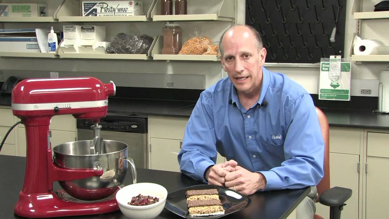 Solae "protein blends" research summary (2011) - YouTube