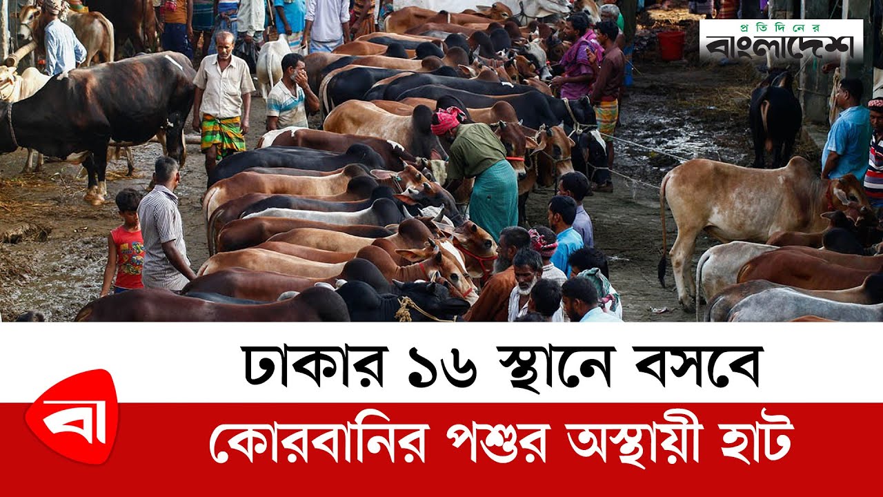 ঢাকার ১৬ স্থানে বসবে কোরবানির পশুর অস্থায়ী হাট | Cow Haat | Qurbani ...