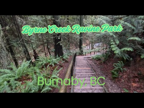 Byrne Creek Ravine Park Burnaby | Serene New Year’s Eve Nature Walk ...