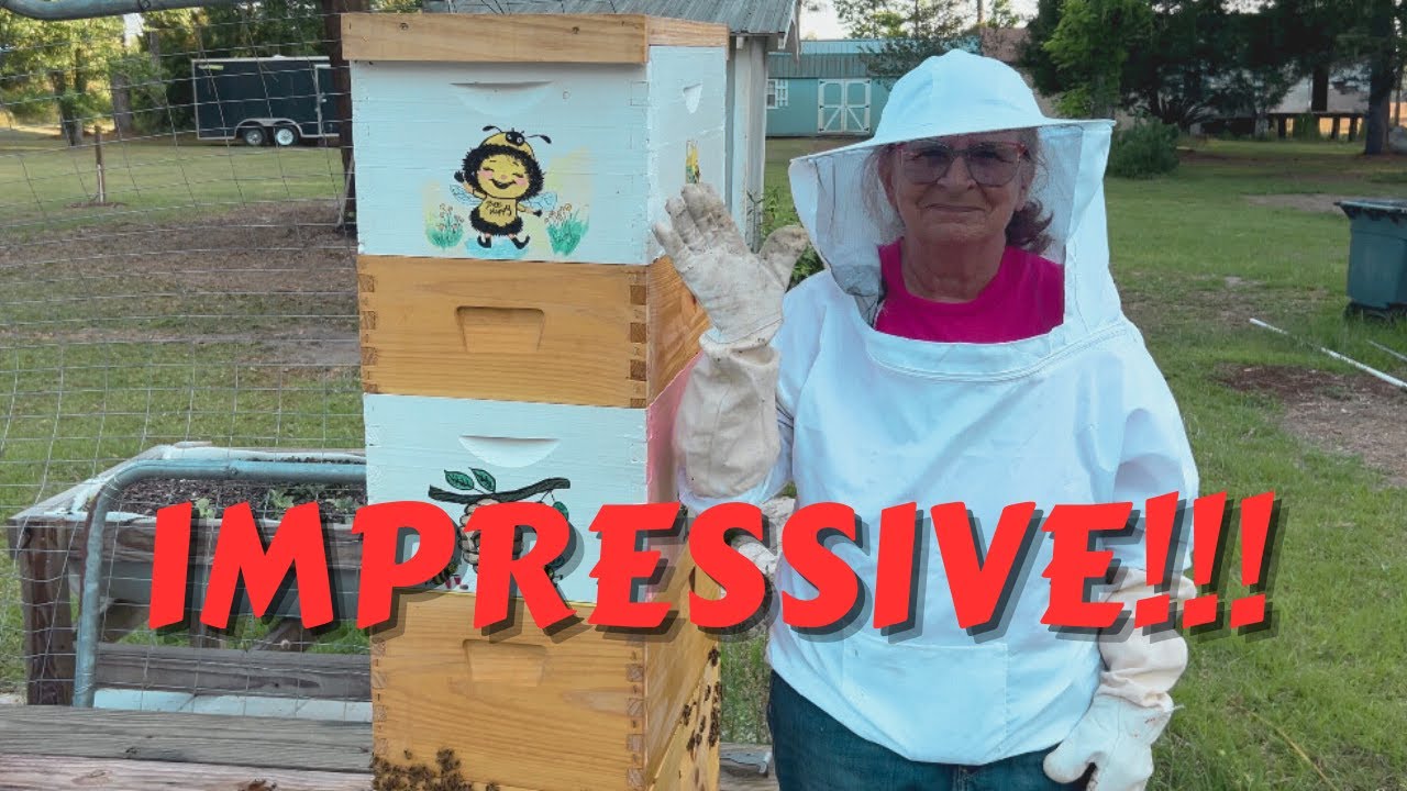 Lynn's Monster Hive - YouTube