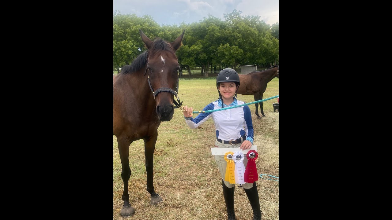 🐴#horseriding😃 #equestrian # Cassandra 🐎 Valhalla Stables Hunters Sep ...