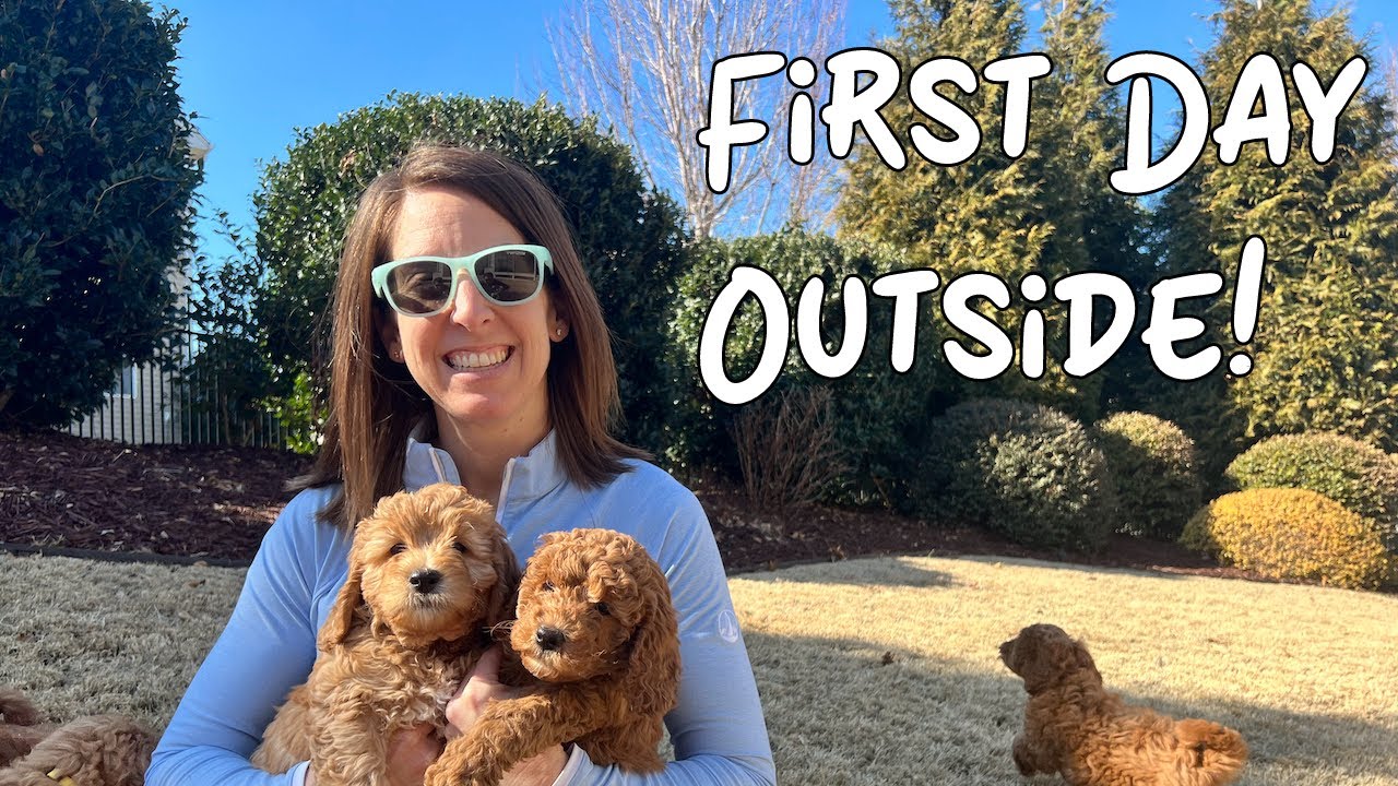 First Day Outside With Puppies - YouTube