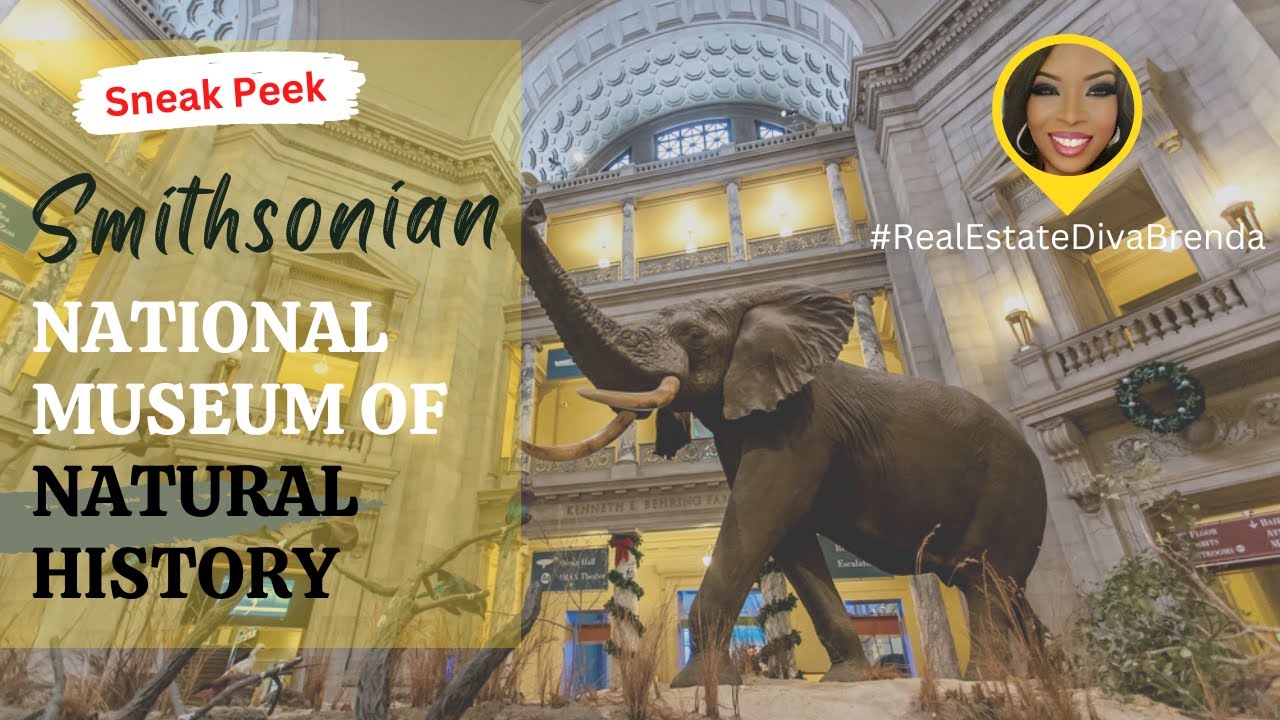 VIRTUAL TOUR of Smithsonian National MUSEUM of Natural History - YouTube