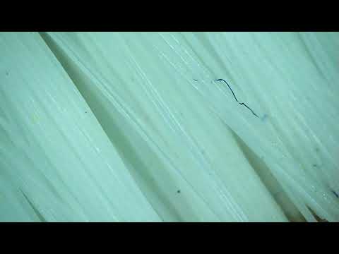 toothbrush under a microscope - YouTube