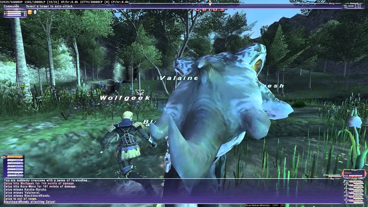 FFXI RoV 17 Somber Dreams - fight - YouTube