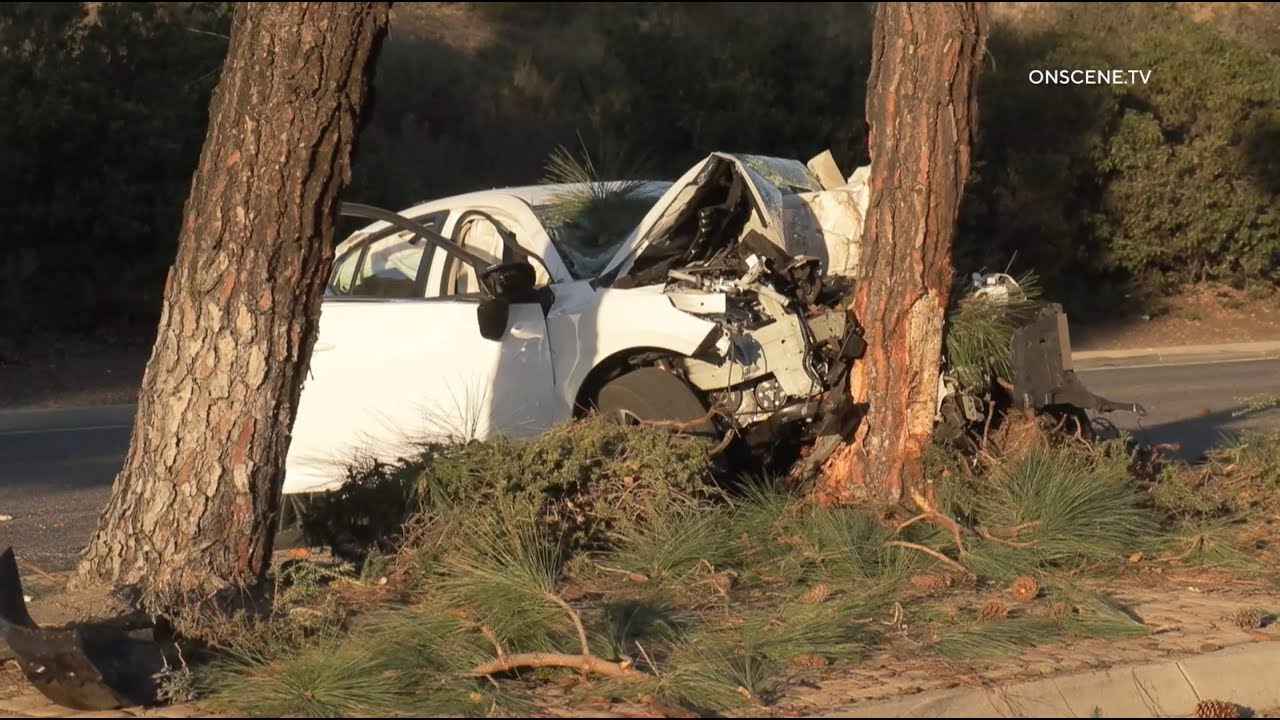 3 Dead, 1 in Critical, Horrific Car vs Tree Crash | Chula Vista - YouTube