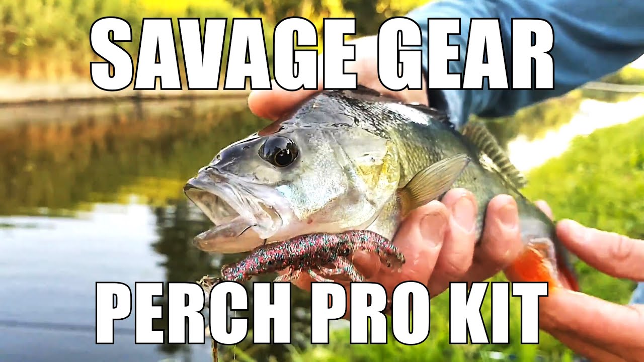 Review: ESSENTIAL Perch Lures! Savage Gear Perch Pro Kit - YouTube
