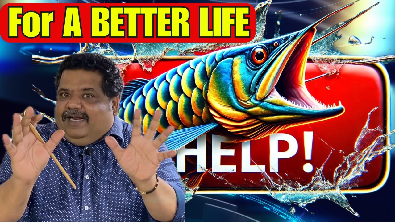 Aquarium Fish Keeping EXPERT Mayur Dev Shares His Top Tips - YouTube