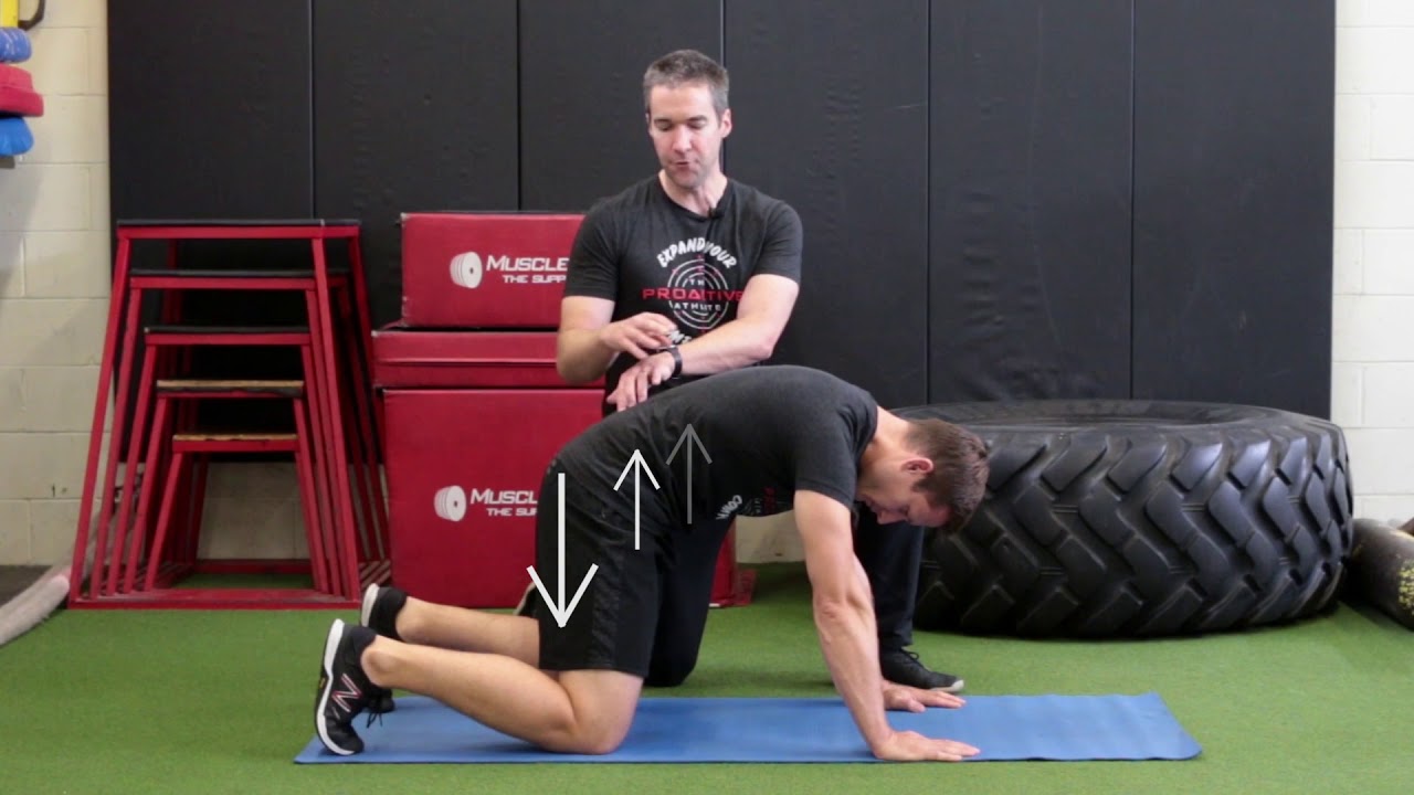 Segmental Cat Camel Exercise - YouTube