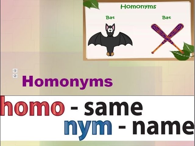 What Is Homonym Definition With Examples And Explanation, 52% OFF What Is Homonym Definition With Examples And Explanation, 52% OFF