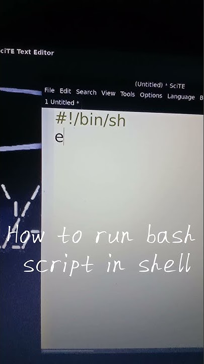 How to run bash script in shell in kali linux||debian os||ubuntu ...