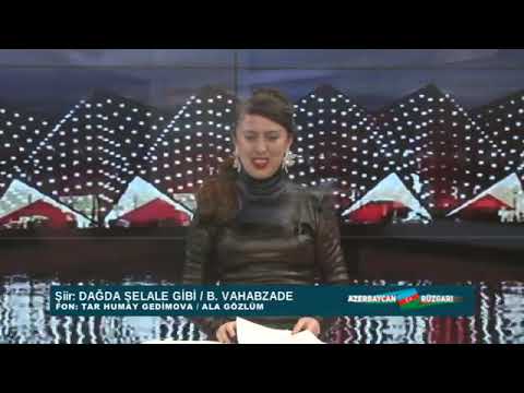 Bahtiyar Vahabzade.Dağda Şelale kimi.