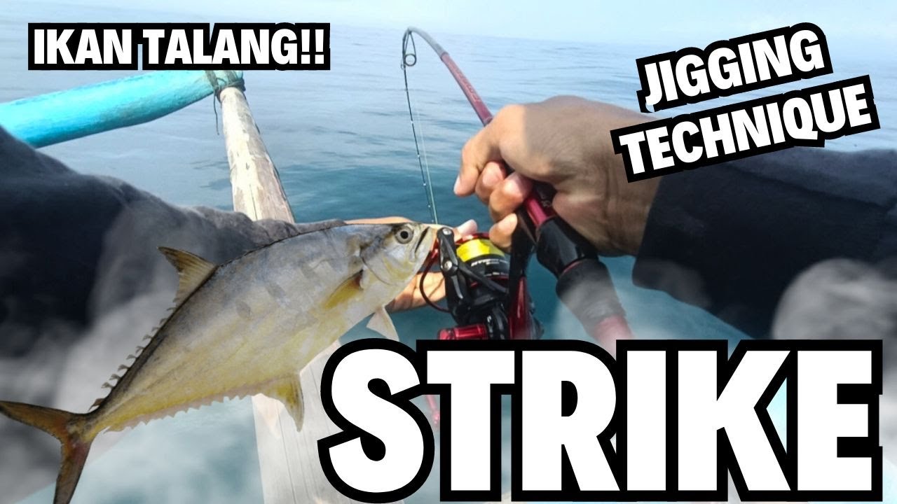 STARTLING!!! JIGGING TECHNIQUE FISHING PULLS VERY LARGE FISH - YouTube
