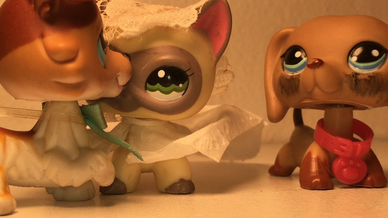 Lps Crazy in Love mv - YouTube
