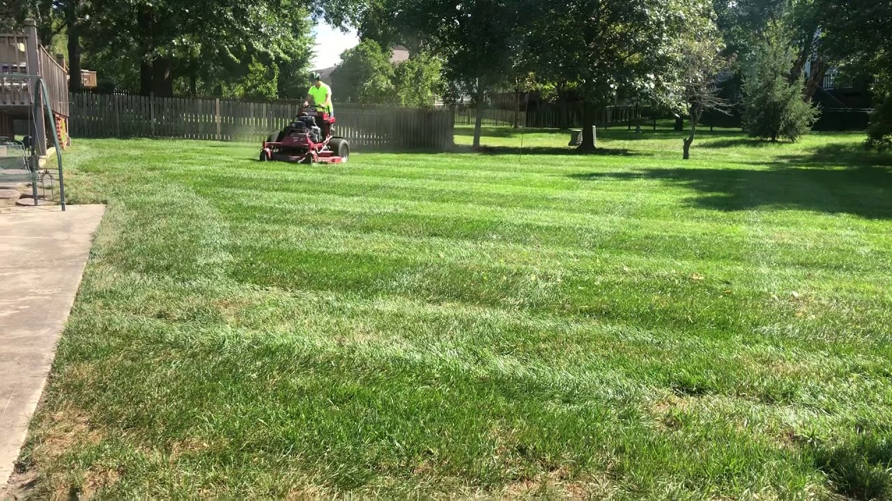 Weekly mowing - YouTube