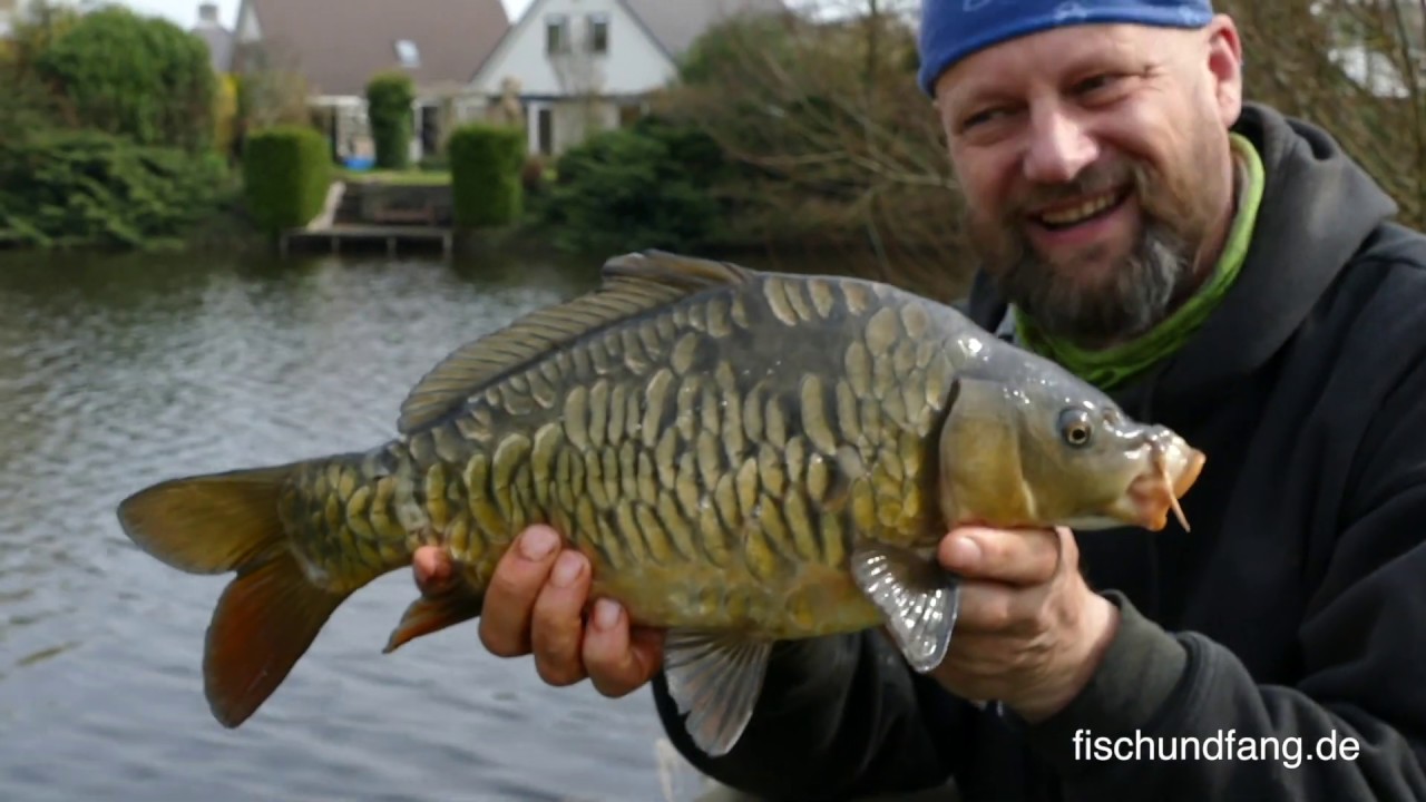 Matze Koch: Leichtsinn mit Method Feeder - Matzes Mätzchen 05-2019 ...