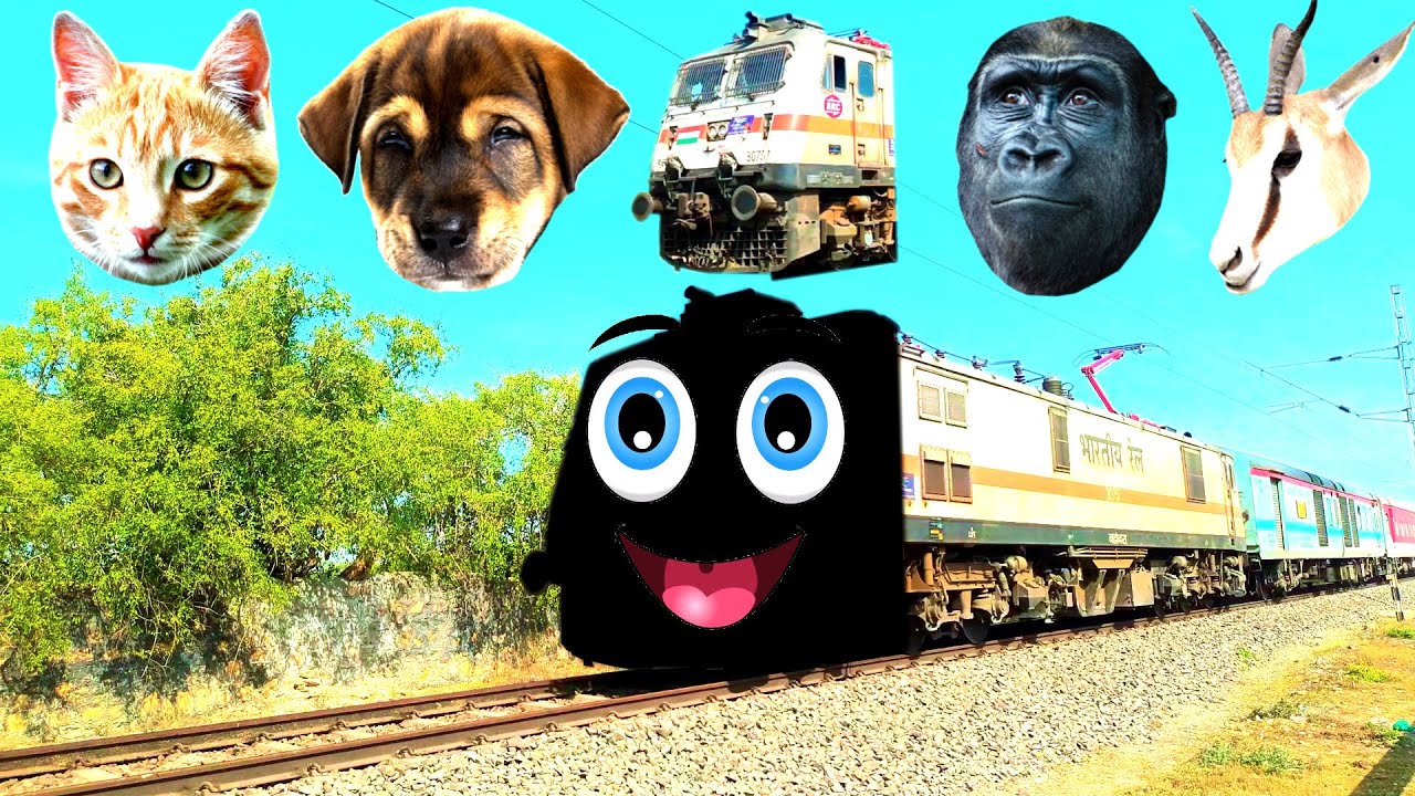 funny train moments cat dog gorilla gazelle fun video || train videos ...