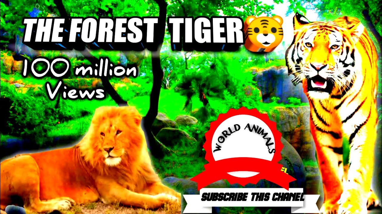 World animals Fight Discovery channel 🌎🦁 - YouTube