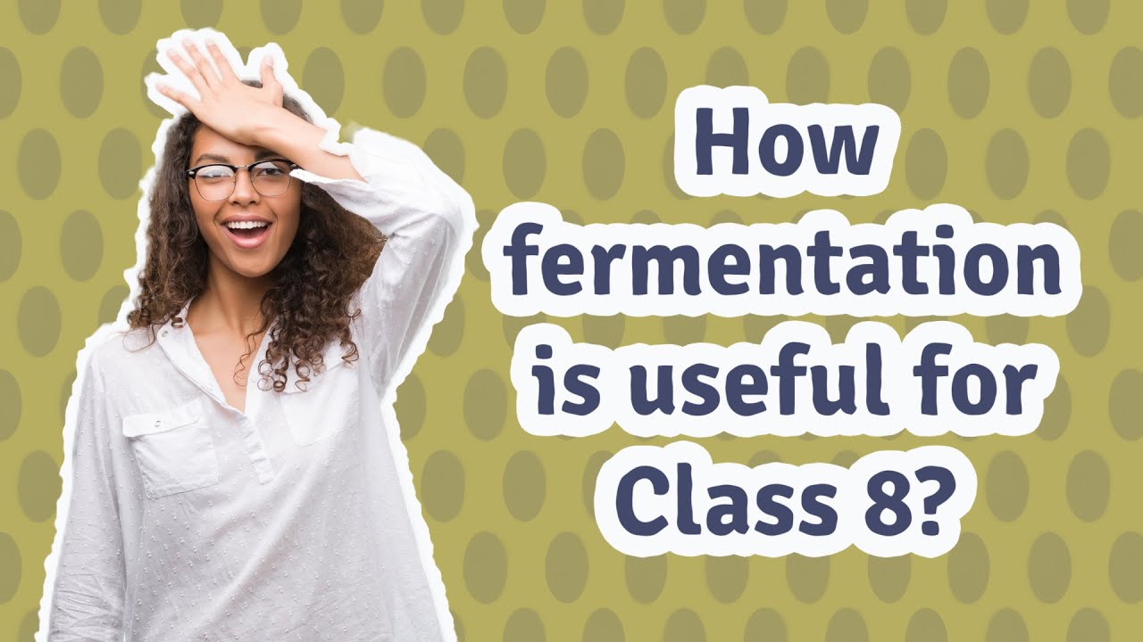 How fermentation is useful for Class 8? - YouTube