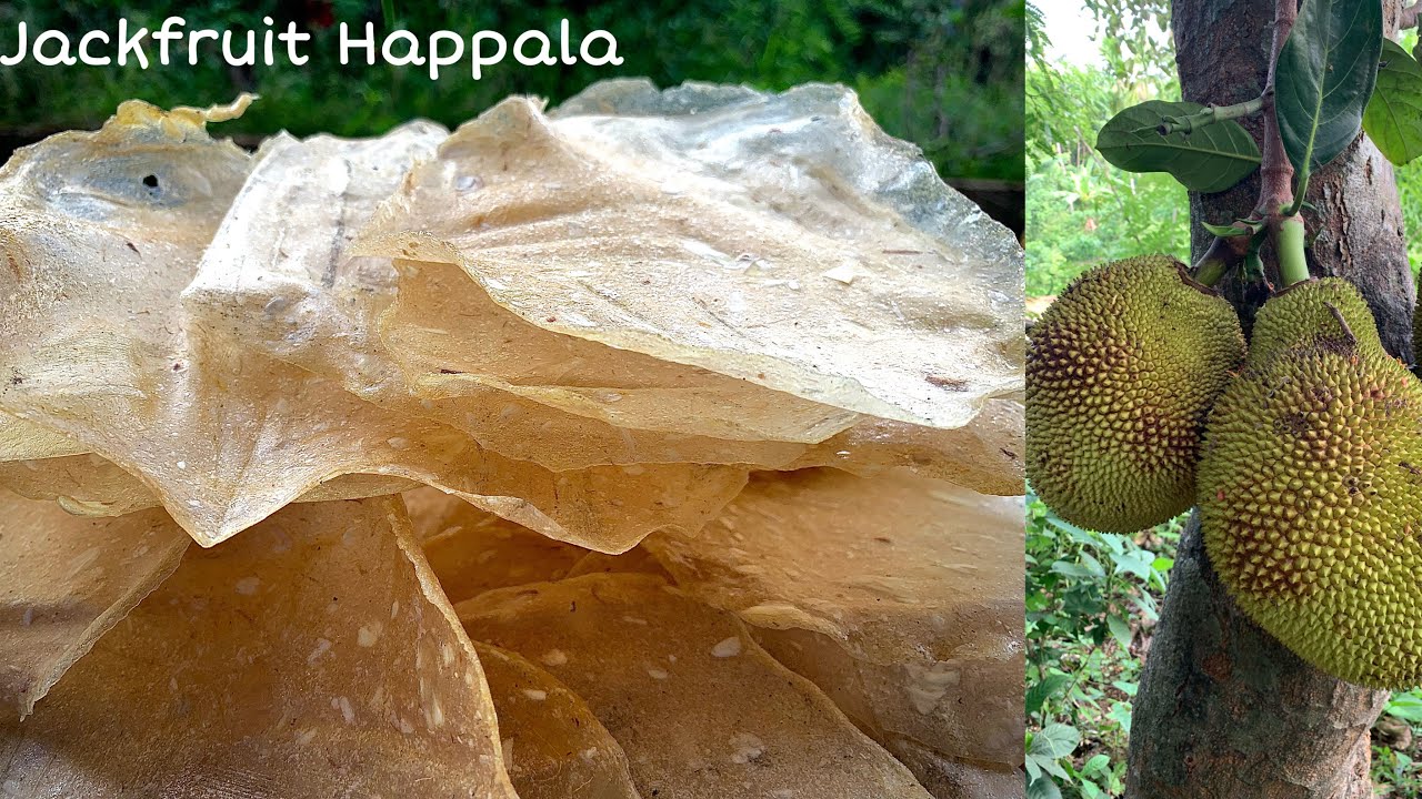 Jackfruit Appalam | Halasinakayi Happala - YouTube