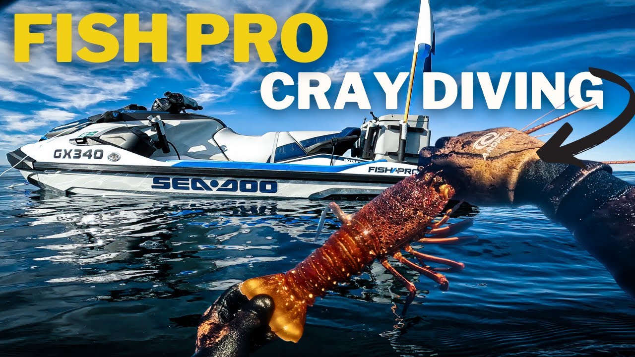 Free diving for crayfish with a $30000 Seadoo Fish-Pro - YouTube