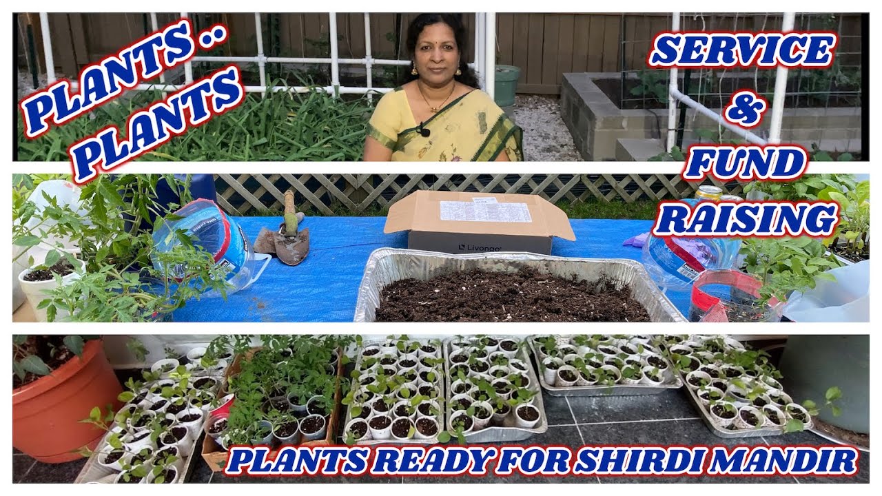 PLANTS & MORE PLANTS || DO Community Service || HELP TEMPLES or LOCAL ...