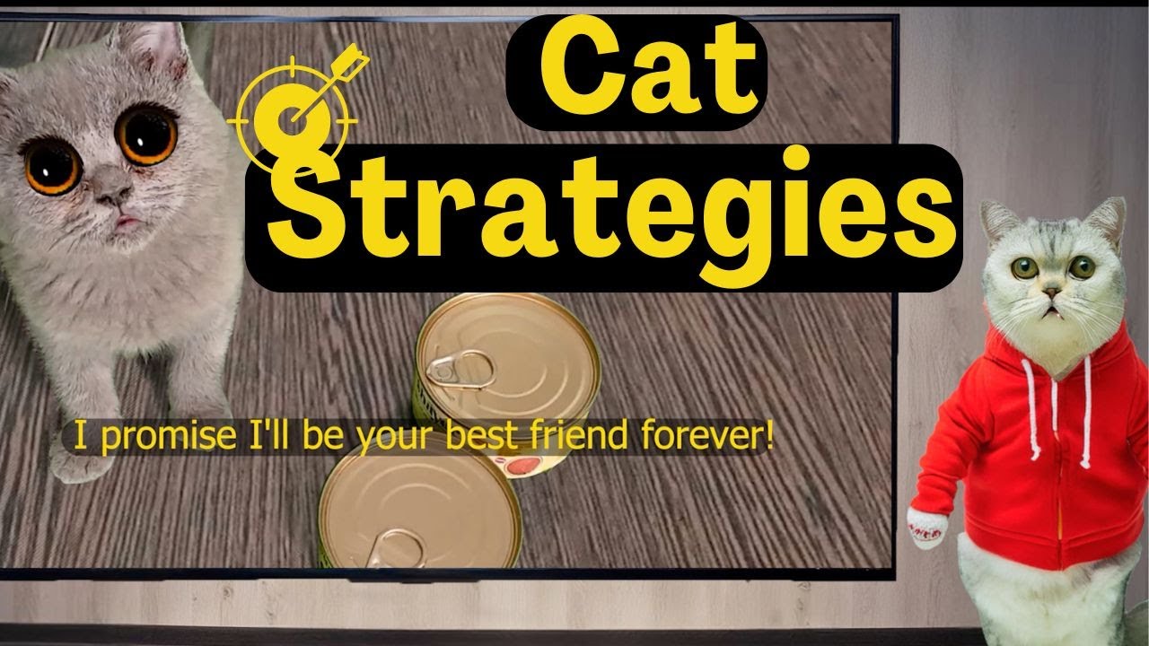 Cat Strategies: How to Get Anything from Your Human - YouTube