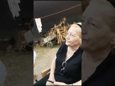 fuad oglumun qazax xəngəl qonaqliginda yxari salahli kəndi