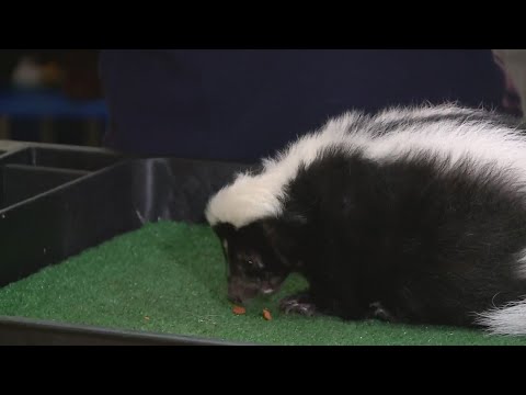 Lake Erie Science and Nature Center connecting children to science and ...