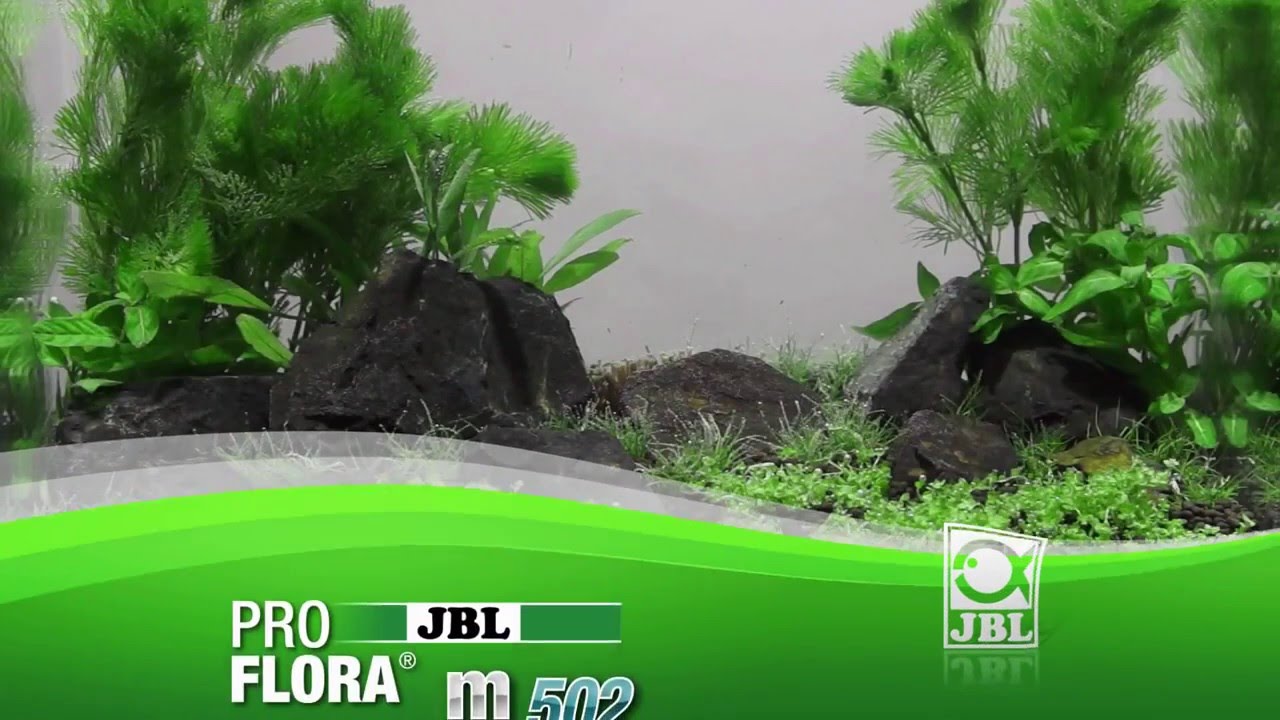 JBL ProFlora m502 CO2 - YouTube
