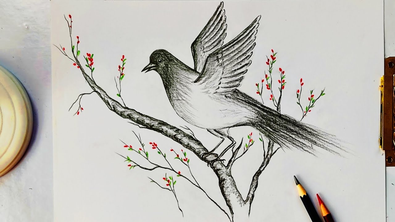 Drawing a bird on a tree branch - YouTube