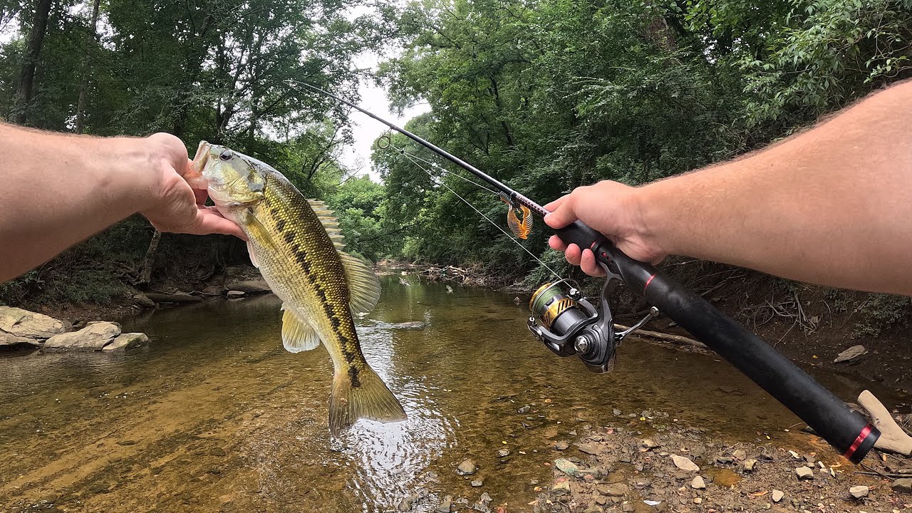 Wade Fishing For Strong Creek Bass! - YouTube