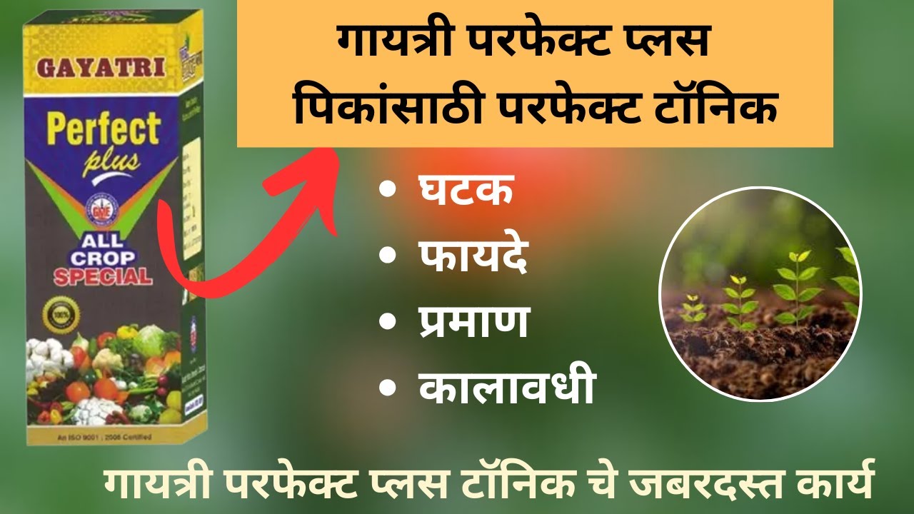 Gayatri Perfect Plus | गायत्री परफेक्ट प्लस टॉनिक बद्दल संपूर्ण माहिती ...