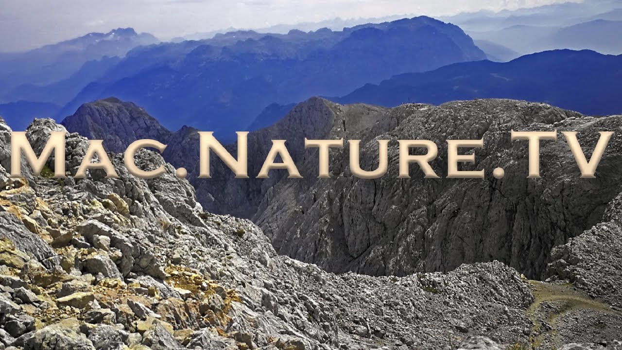 Mac.Nature.TV - Kanal Trailer 2021 - YouTube