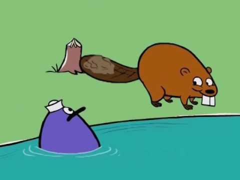 Peep and the Big Wide World׃ Dry Duck, Part 1 - YouTube