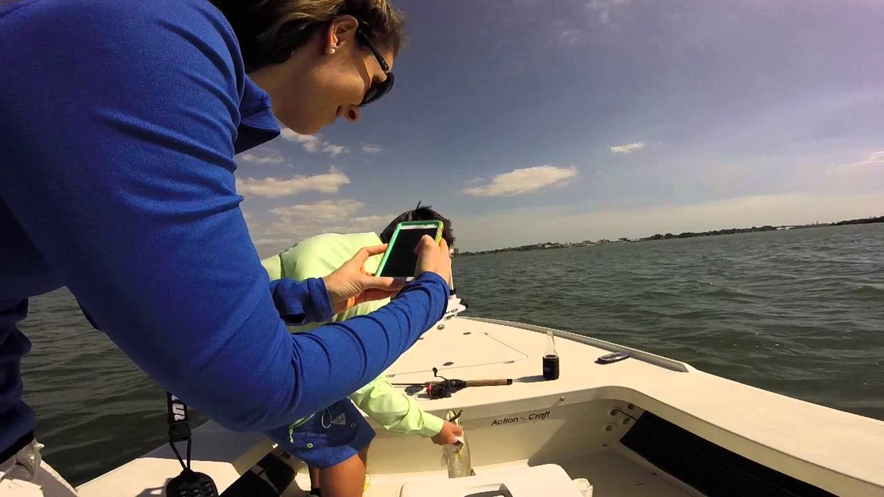 Sarasota Bay Trout - YouTube