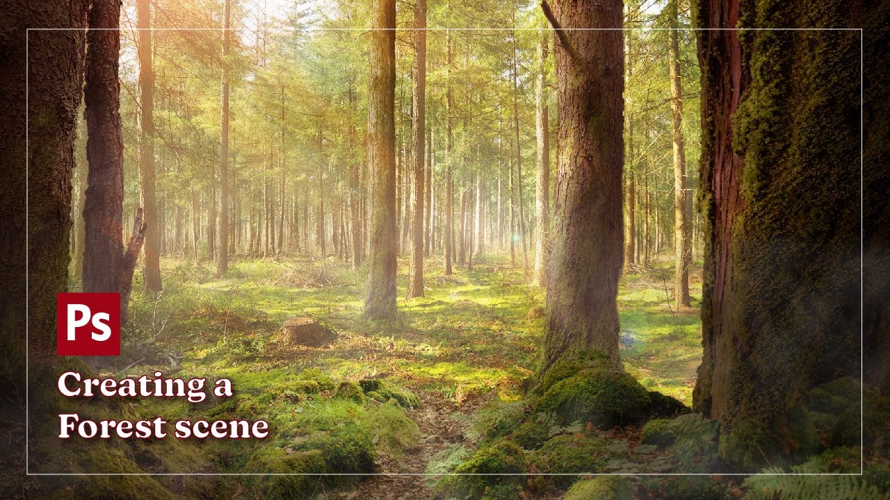 Creating a simple forest scene | Speed Paint | Photoshop Manipulation ...