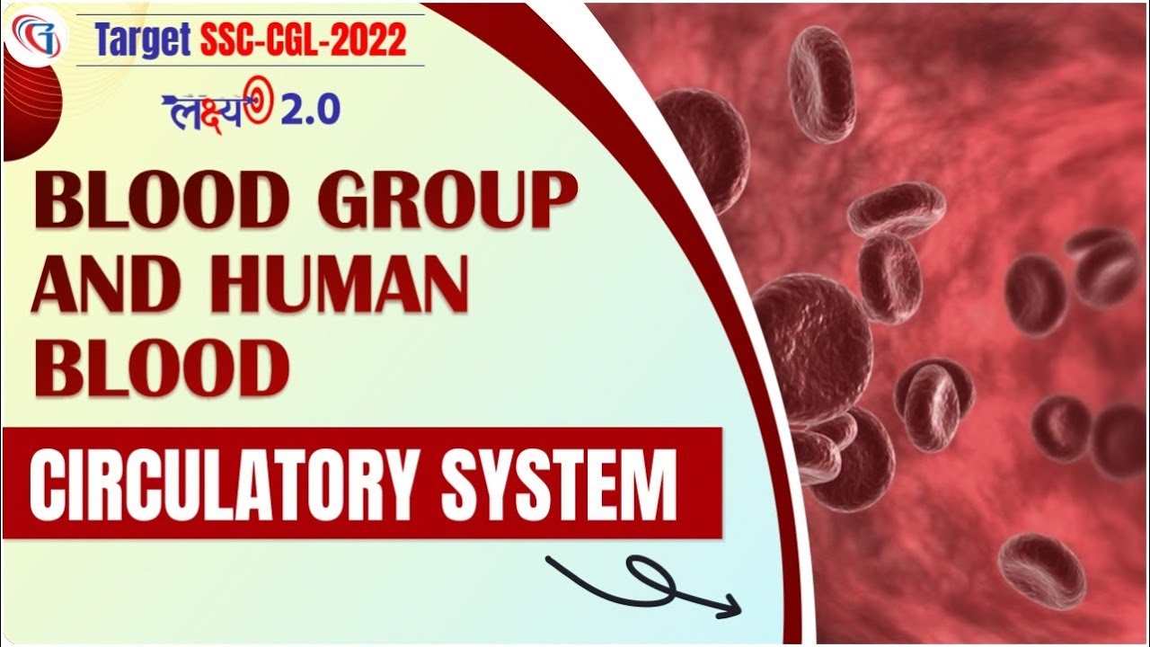 SSC CGL 2022 BIOLOGY BLOOD GROUP AND HUMAN BLOOD - CIRCULATORY SYSTEM ...