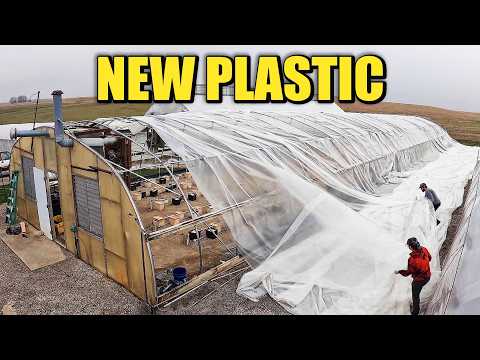 Replacing Greenhouse Plastic on Our Huge 148’ Greenhouse